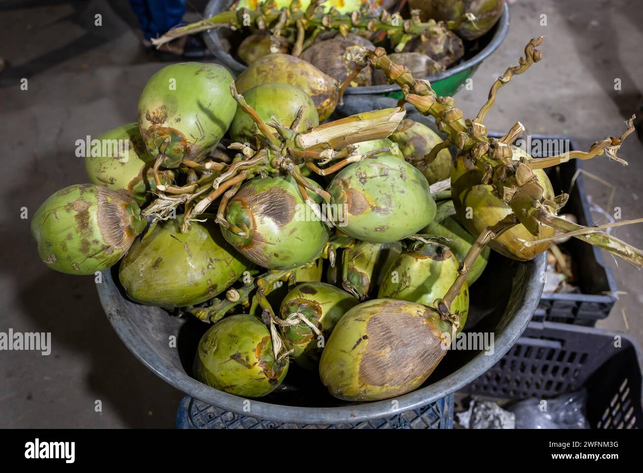Coconut display hi-res stock photography and images - Alamy