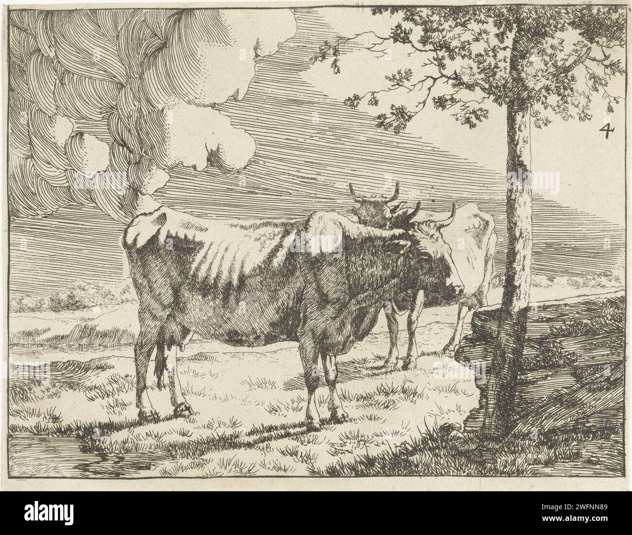 Two standing cows, 1728 - c. 1761 print The Hague paper etching cow ...