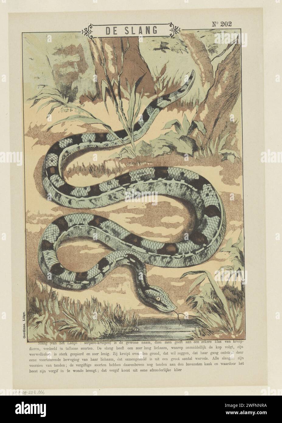 De Snake, 1894 - 1959 print Leaf with a large representation of a ...