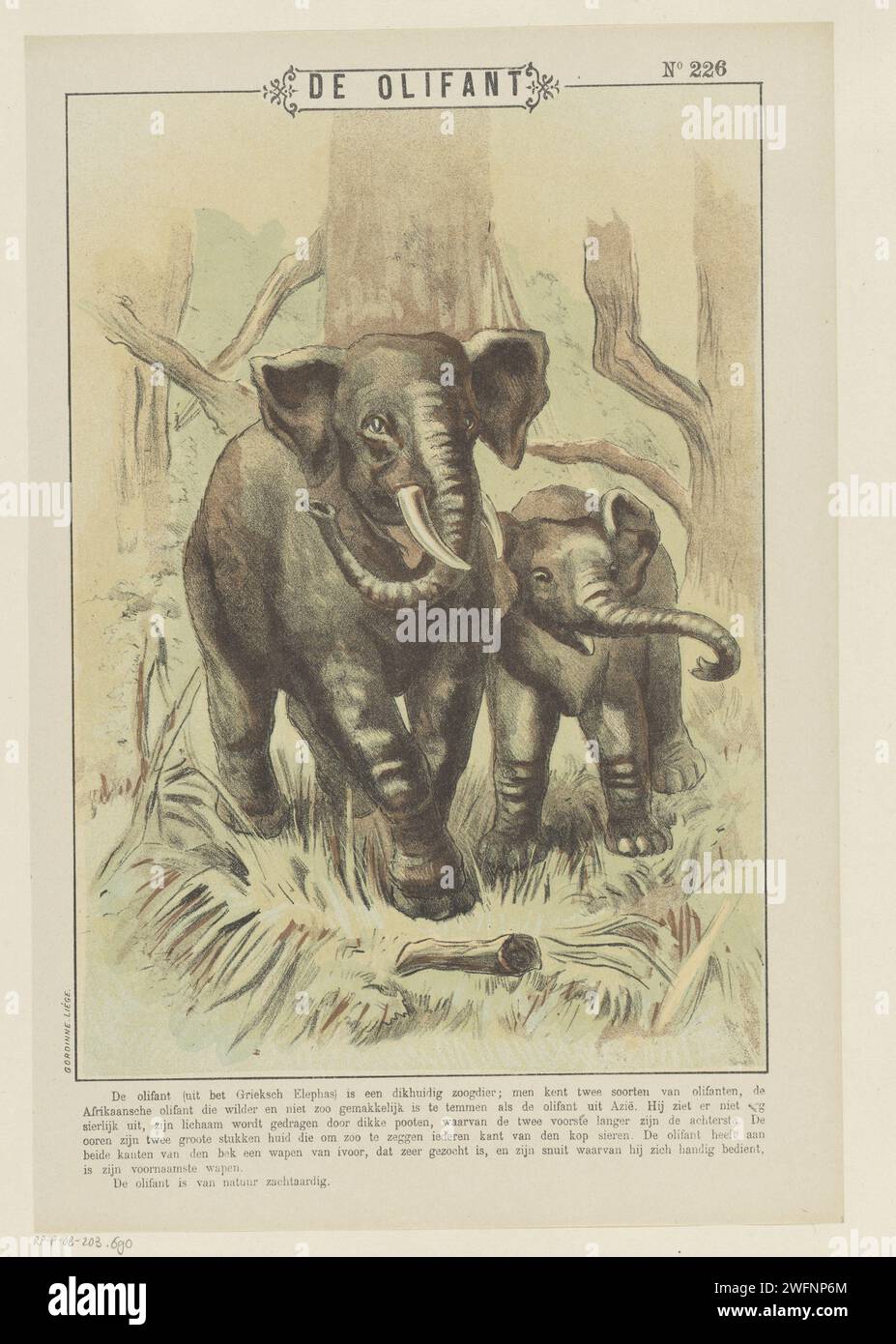 De Olifant, 1894 - 1959 print Leaf with a large representation of two ...