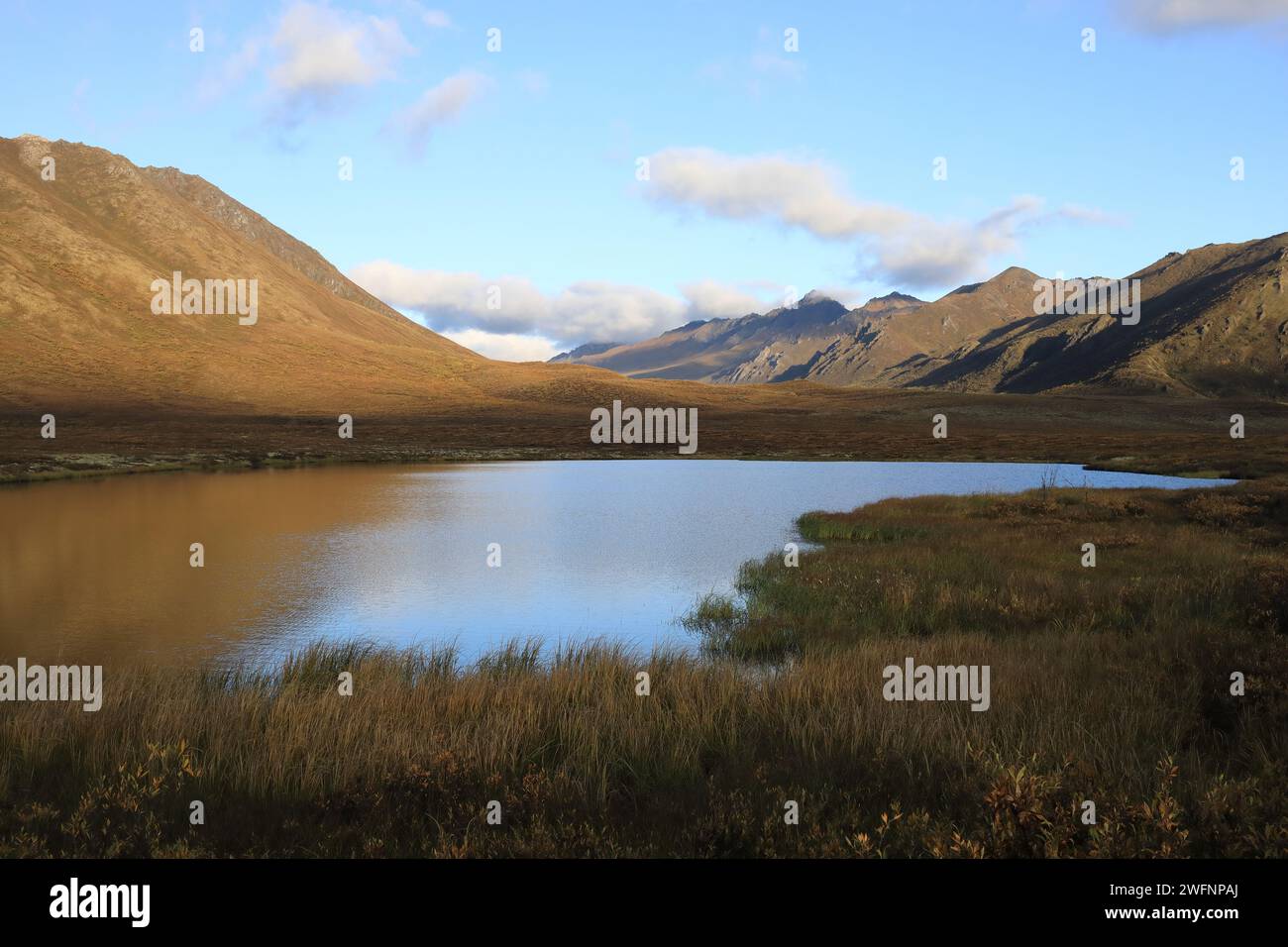 Lake of Dempster Hwy Stock Photo - Alamy