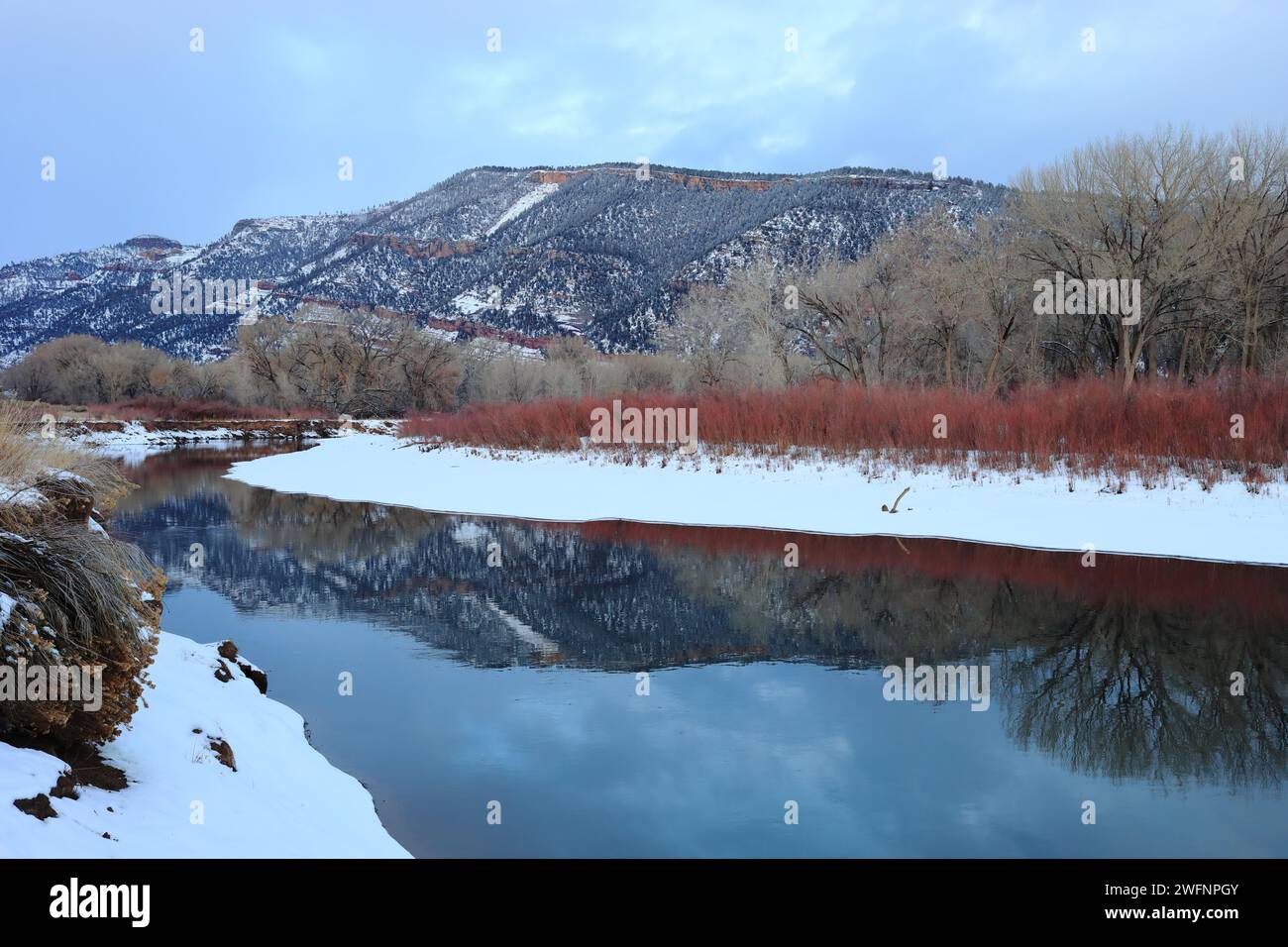Animas scene hi-res stock photography and images - Alamy