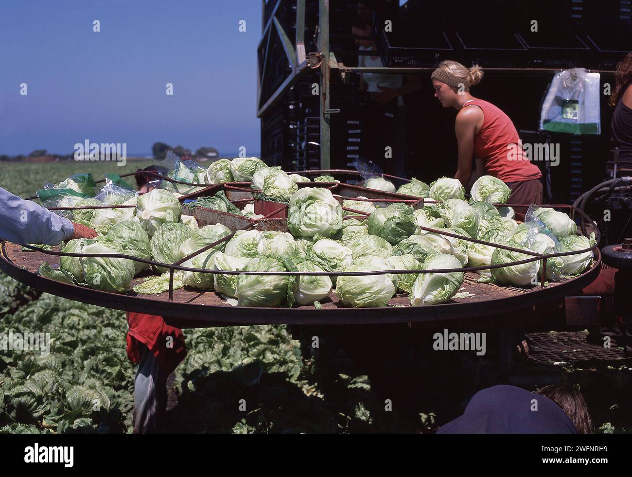 Koroit victoria hi-res stock photography and images - Alamy