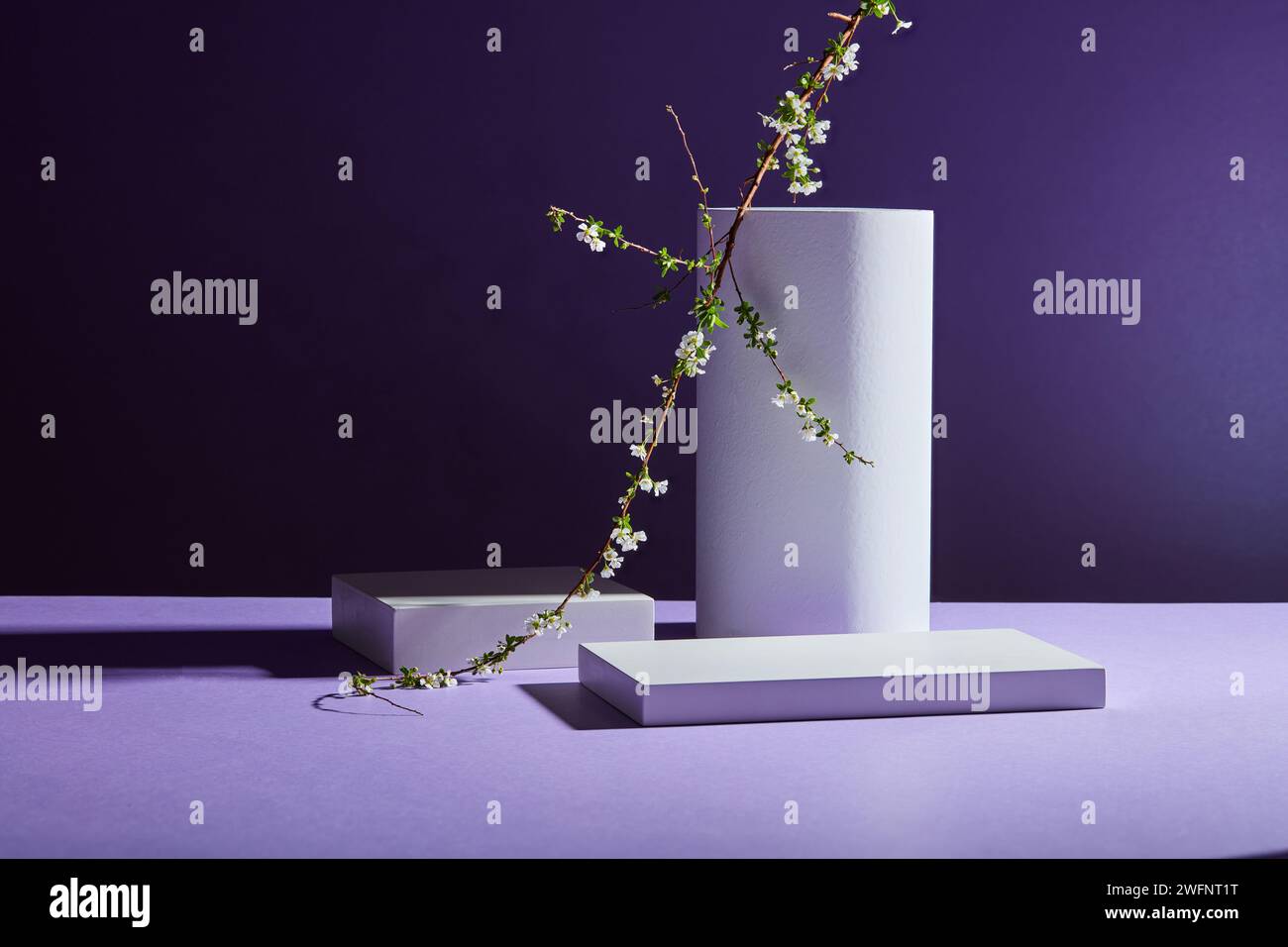 Cylinder podium and rectangle podiums in white displayed on blue ...