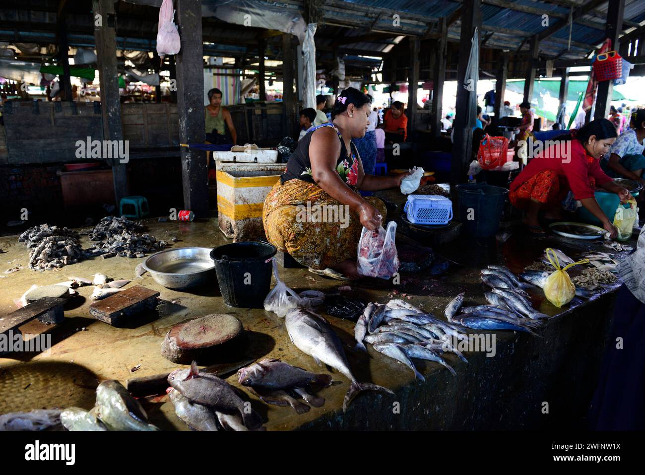 Fish vendors at the colorful market in Sittwe, Rakhine State, Myanmar ...