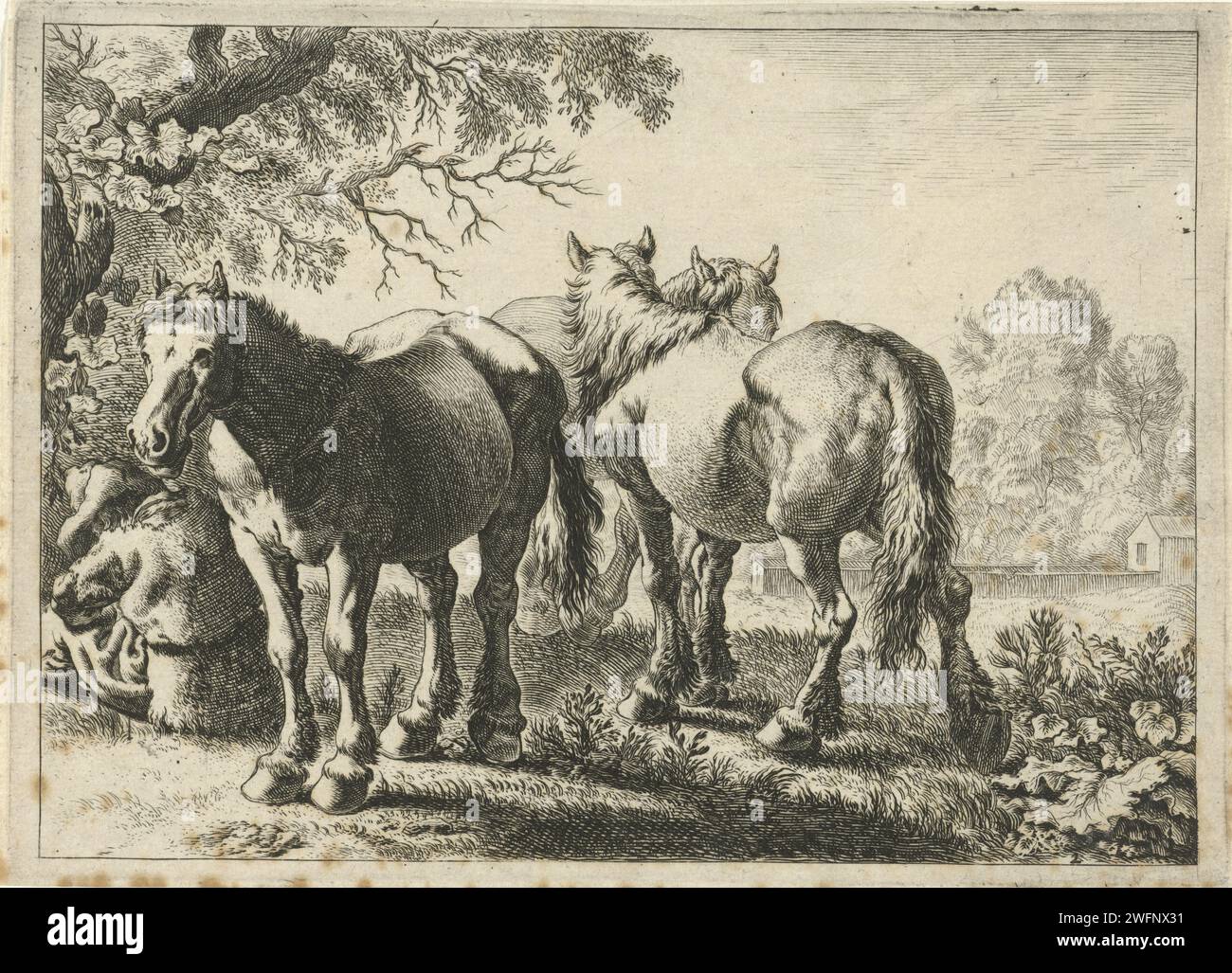 Three horses and a farmer, Anonymous, After Pieter Bodding van Laer ...