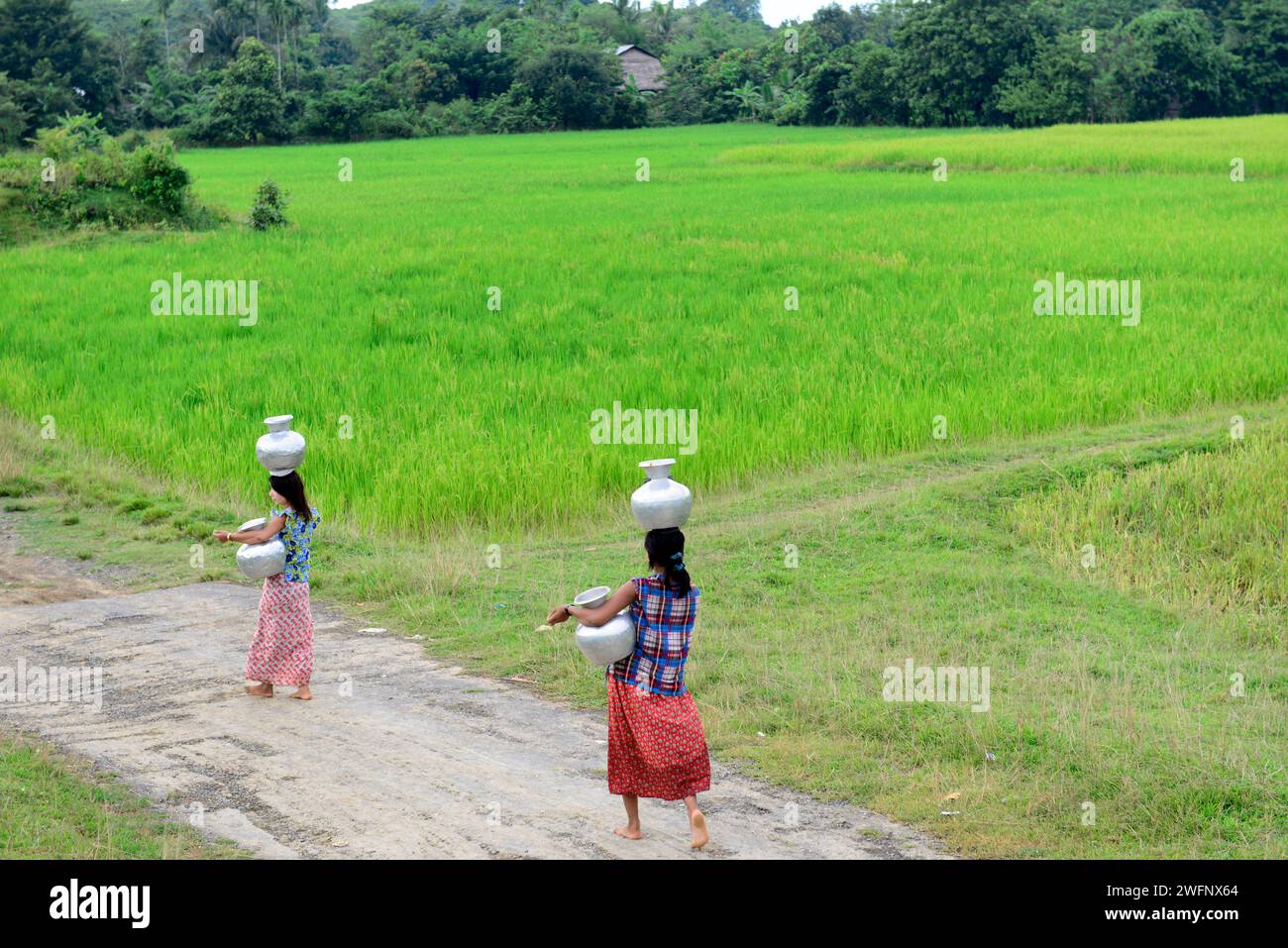 Young Arakanese girls carrying water jugs back to their village in ...
