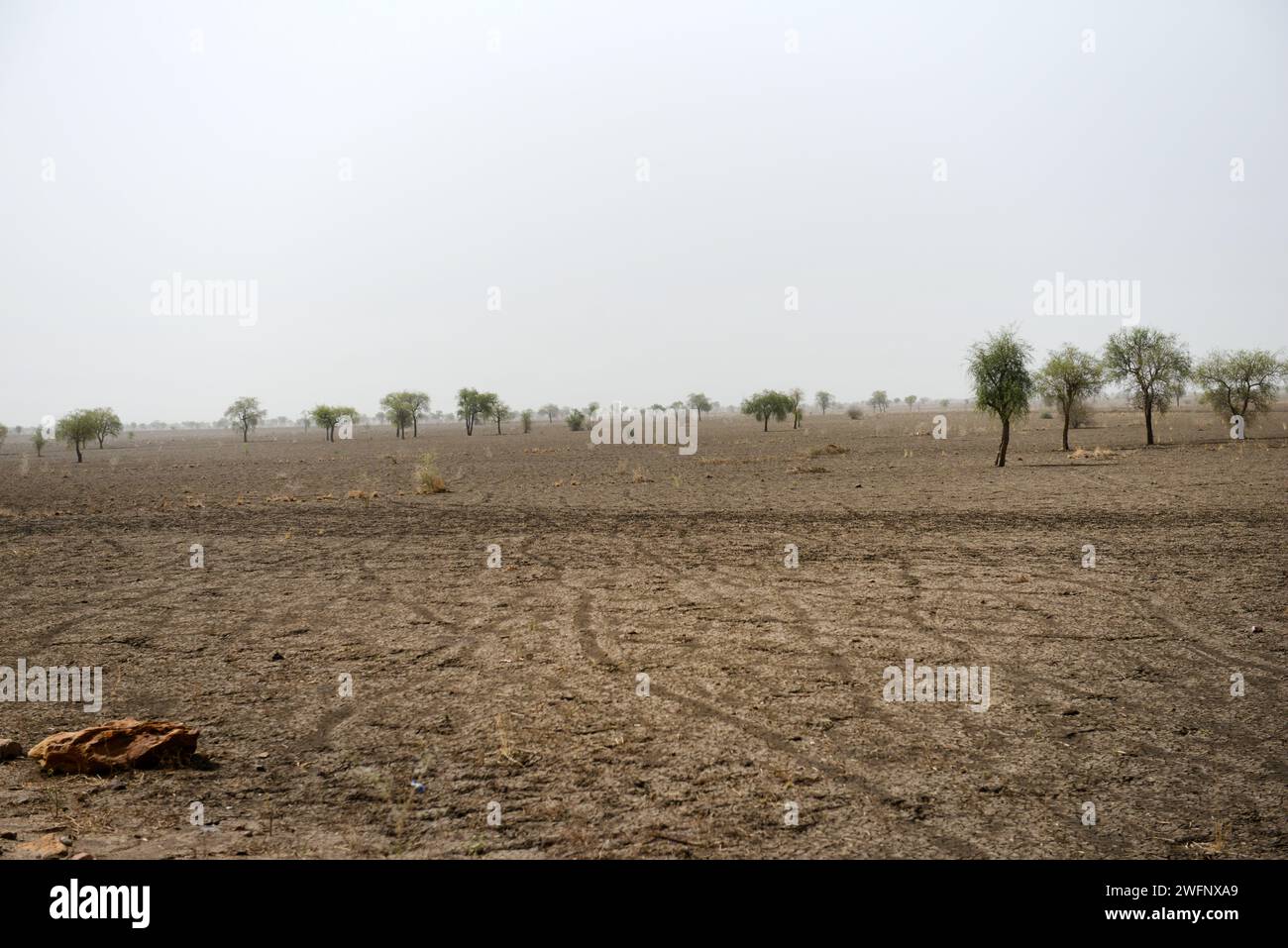 Dry landscapes in the Humera region in northwestern Ethiopia Stock ...