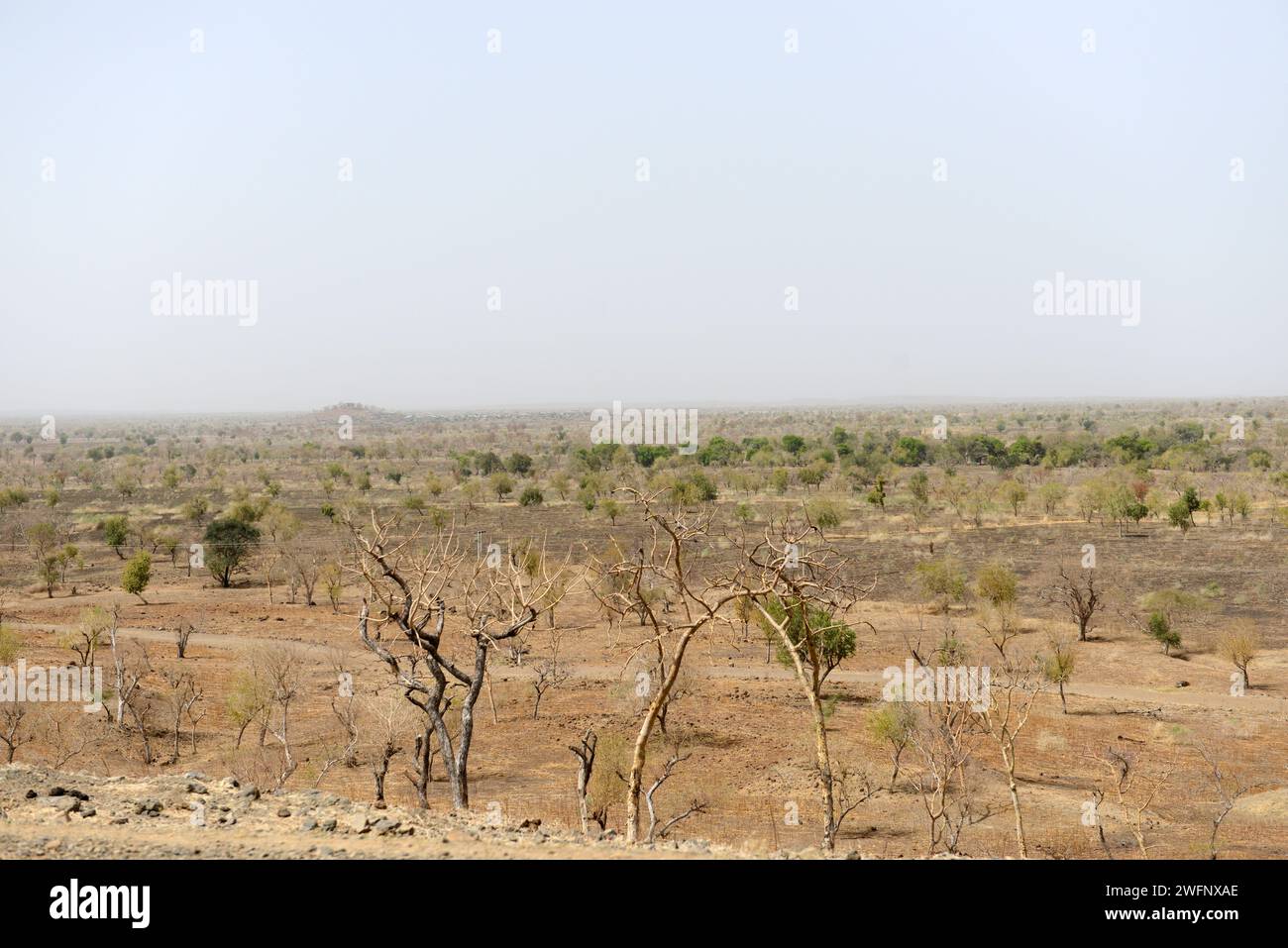 Dry landscapes in the Humera region in northwestern Ethiopia Stock ...