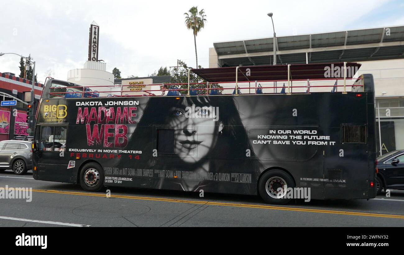 Los Angeles, California, USA 30th January 2024 Dakota Johnson Marvel ...