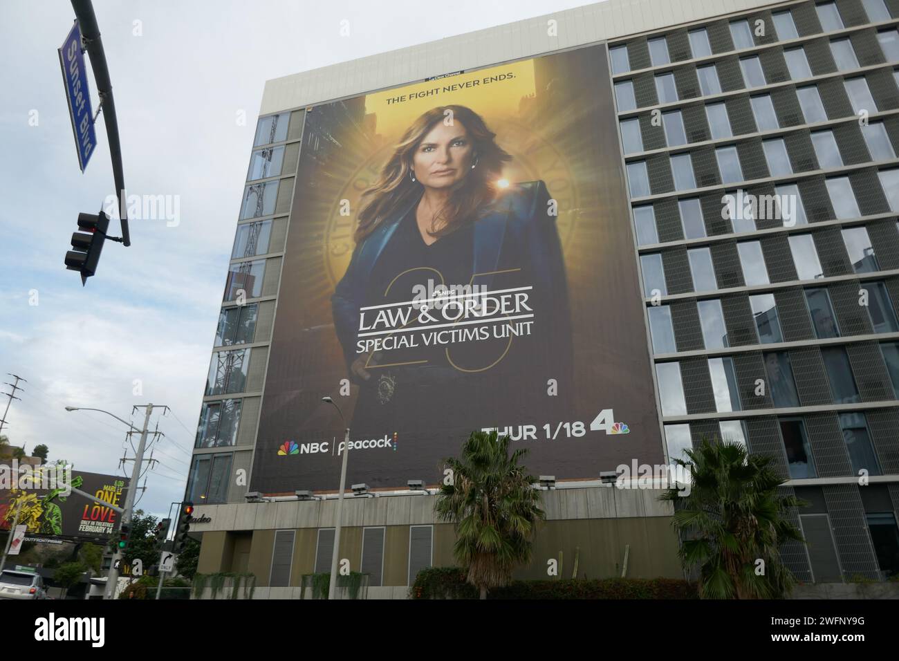 Los Angeles, California, USA 30th January 2024 Mariska Hargitay Law and ...