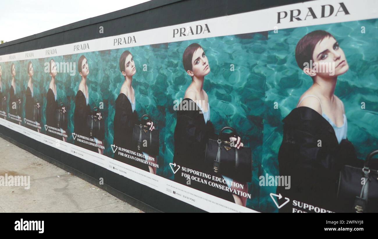 Los Angeles, California, USA 30th January 2024 Emma Watson Prada ...