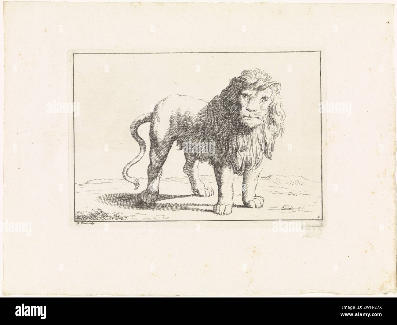 Print marked bottom left hi-res stock photography and images - Alamy