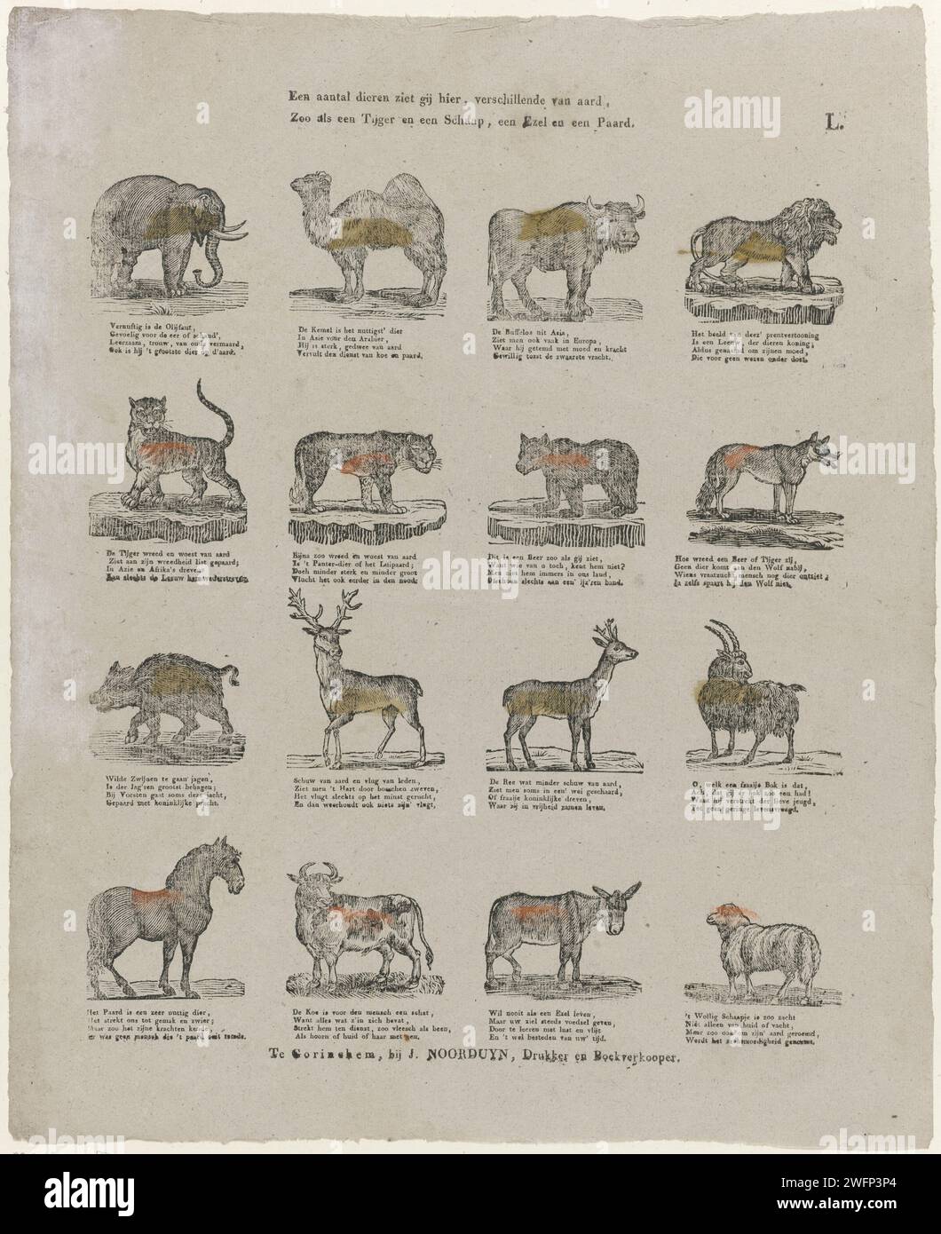 A number of animals you see here, different in nature, / so as a tiger ...