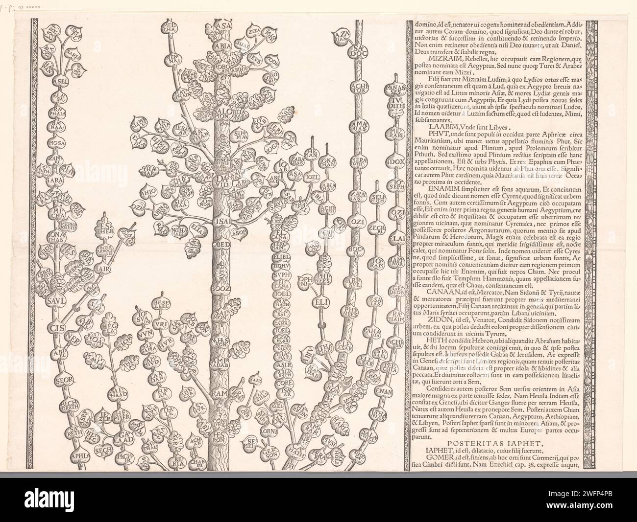 Stamboom hi-res stock photography and images - Alamy