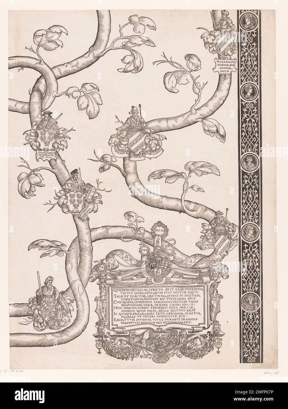 Family tree of Frederik and Ottheinrich van Palts -Neuburg (plate 6 ...