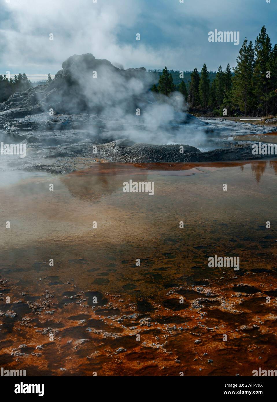 Steam rises around a geyser in a Yellowstone Geyser basin, Yellowstone ...