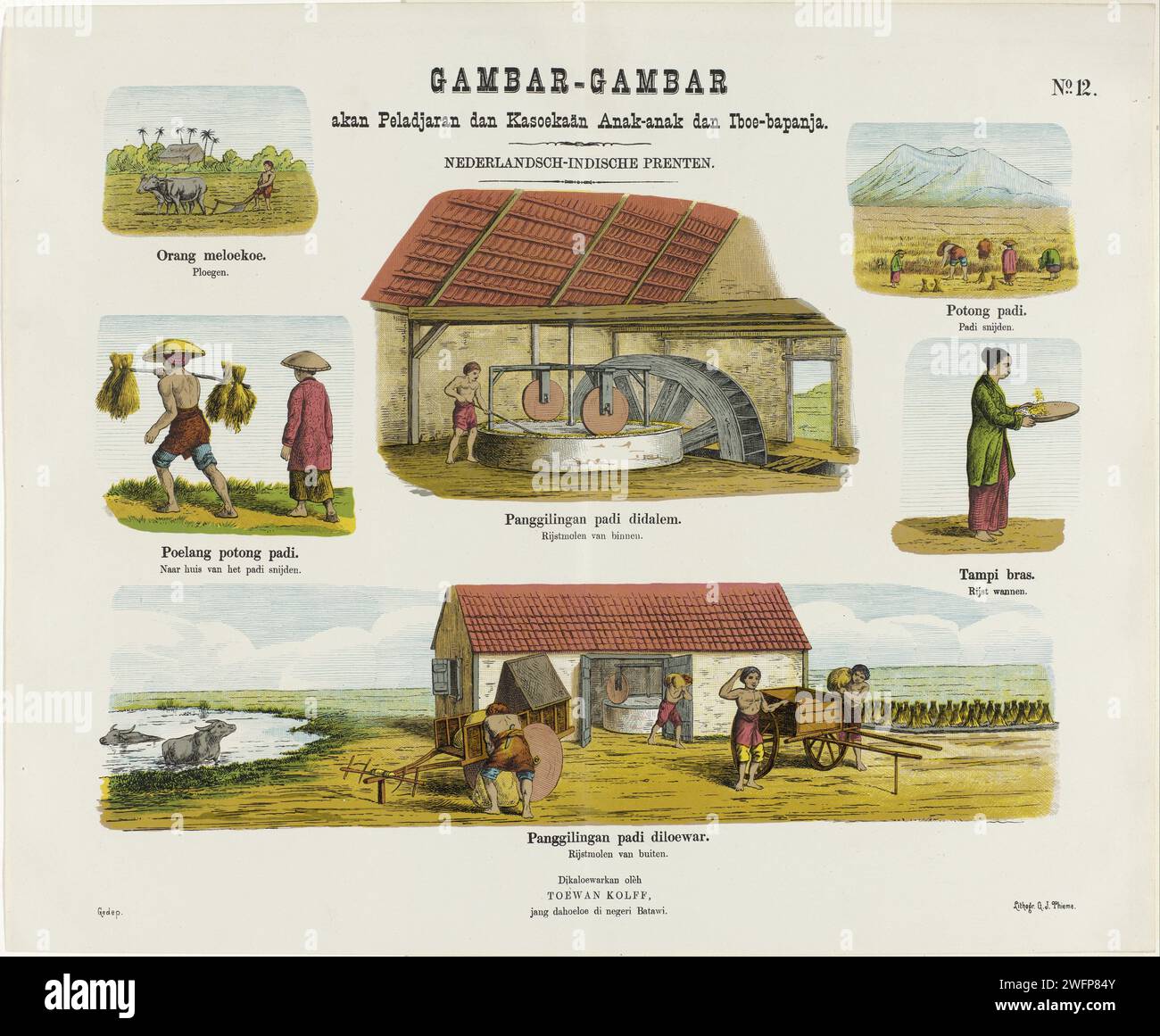 Rice production, Gualtherus Kolff, After Jonkheer Josias Cornelis ...