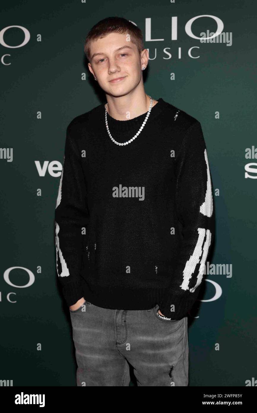 Los Angeles, USA. 31st Jan, 2024. Stefan Benz attends the arrivals of ...