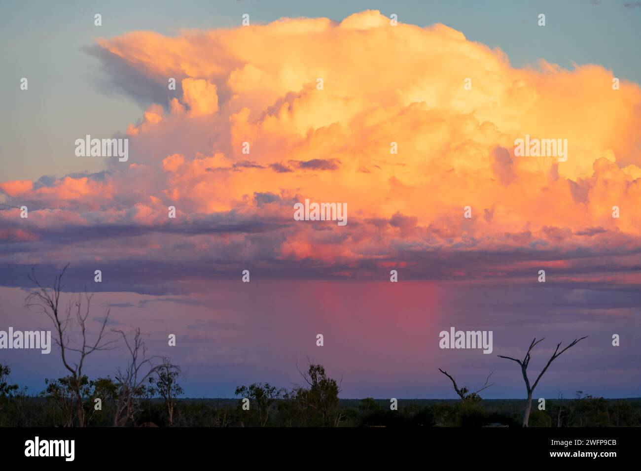 Distant view of rain falling from a large storm cloud coloured gold by ...