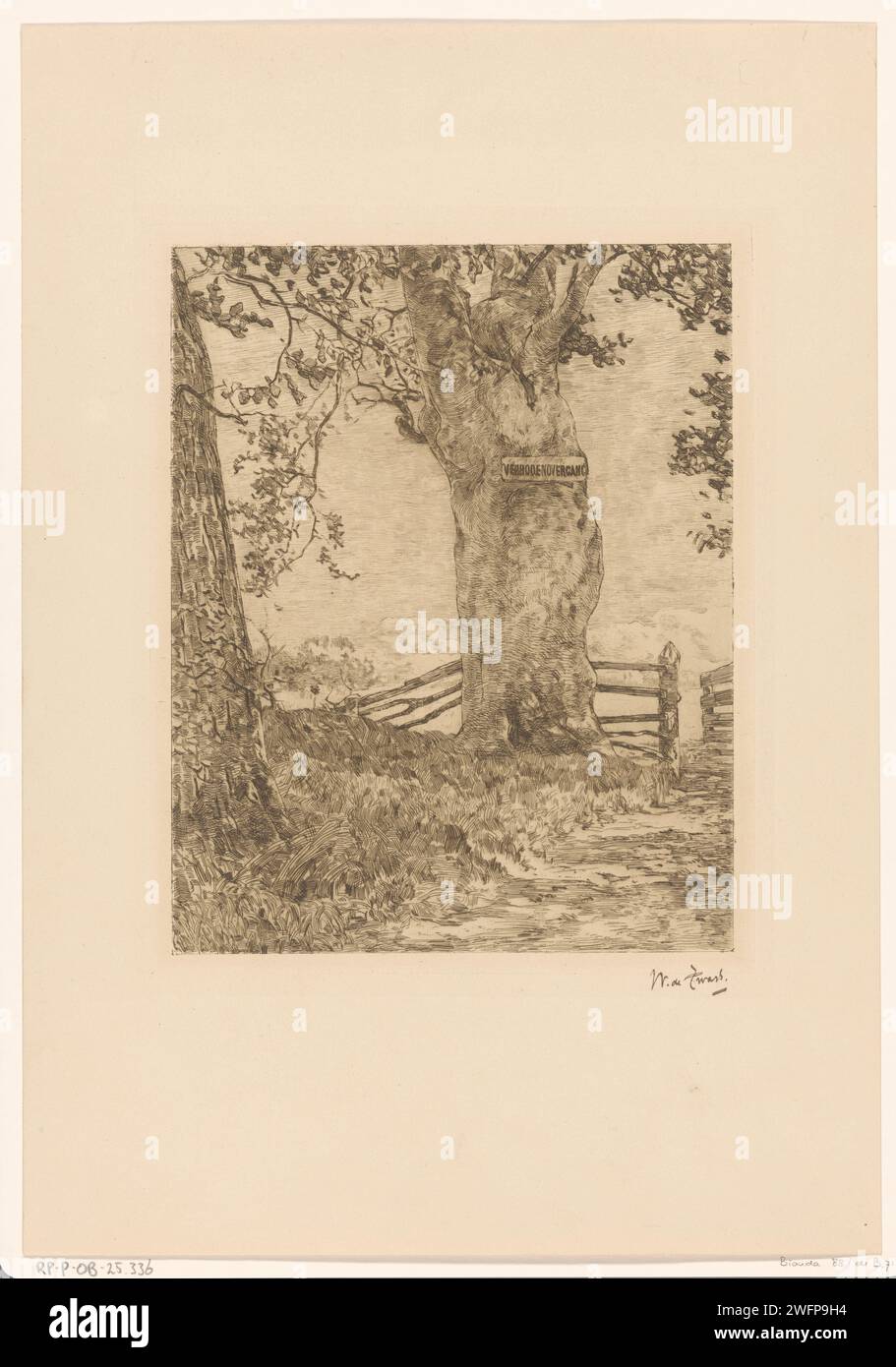 Trees near a fence, Willem de Zwart, c. 1896 - c. 1897 print paper ...