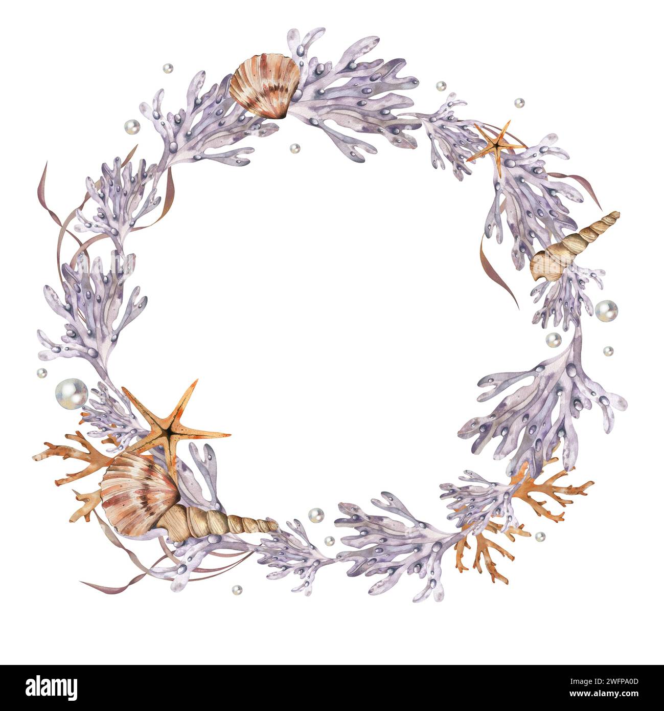 frame is a wreath on a marine theme. shells, corals, starfish, algae ...