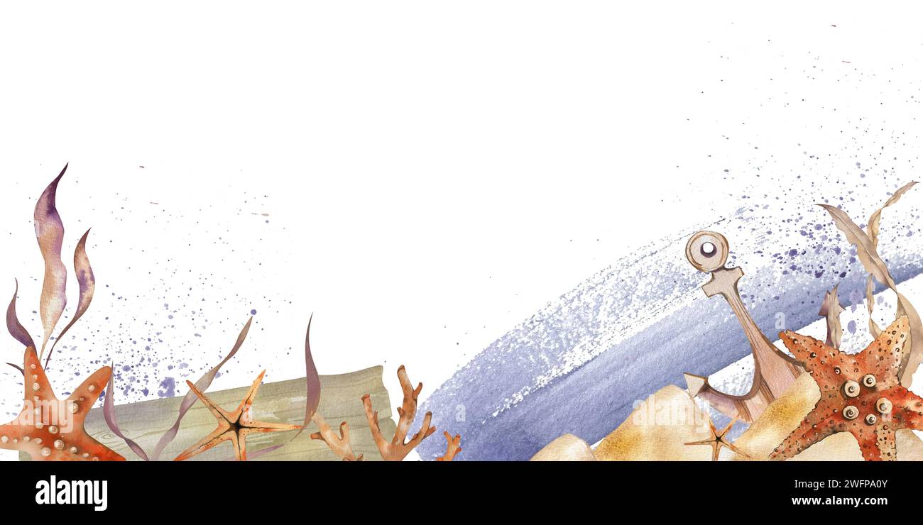 marine-themed banner. shells, corals, starfish, algae, anchor ...