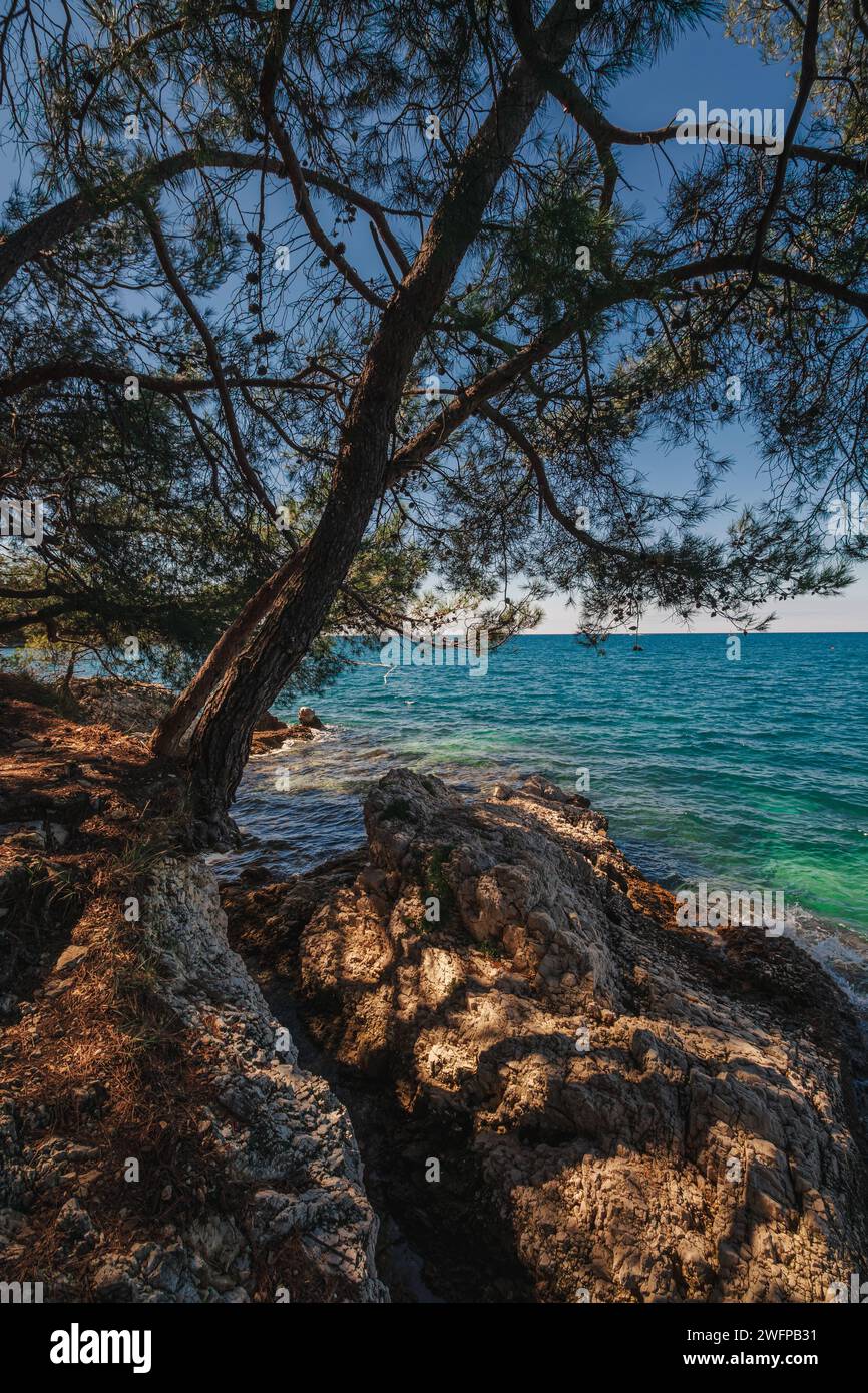 Croatia - beautiful Mediterranean coast landscape in Istria. Porec ...