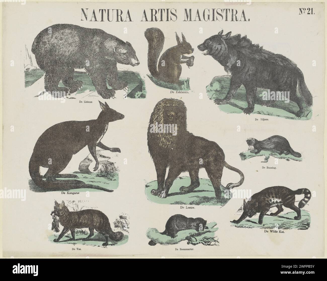 Diergaarde, 1873 print Leaf with 9 performances of animals, including a ...