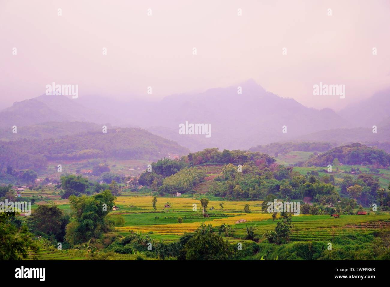 Beautiful views of the countryside on charming rice farming land with a ...