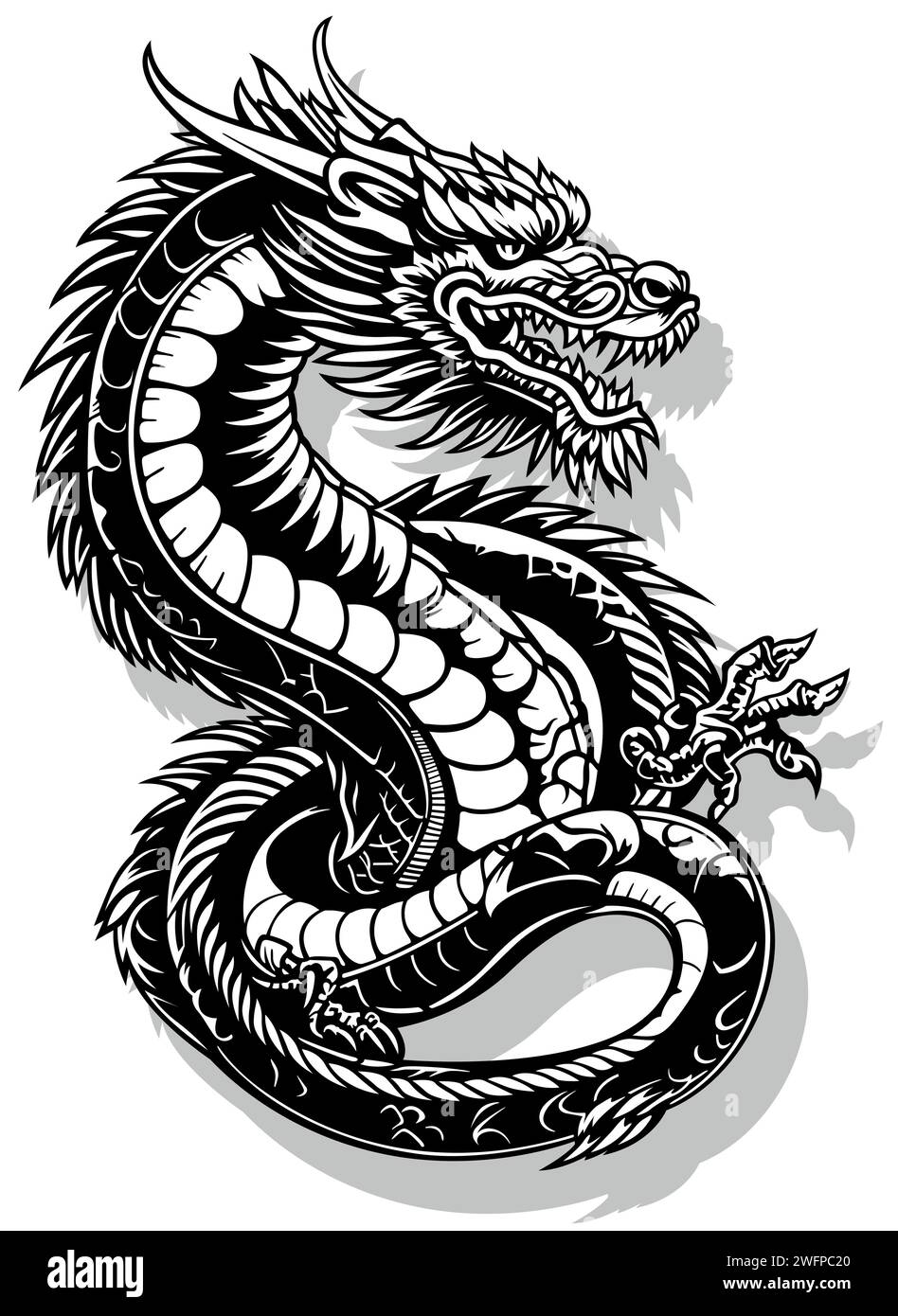 Drawing of a Chinese Dragon Stock Vector Image & Art - Alamy