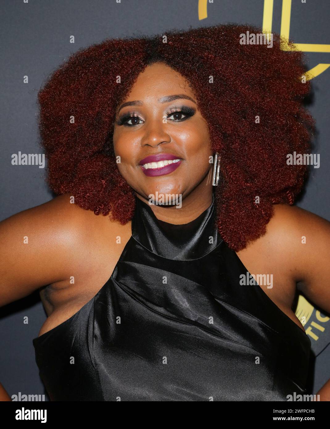 West Hollywood, USA. 31st Jan, 2024. Erica Baker arrives at The Black ...