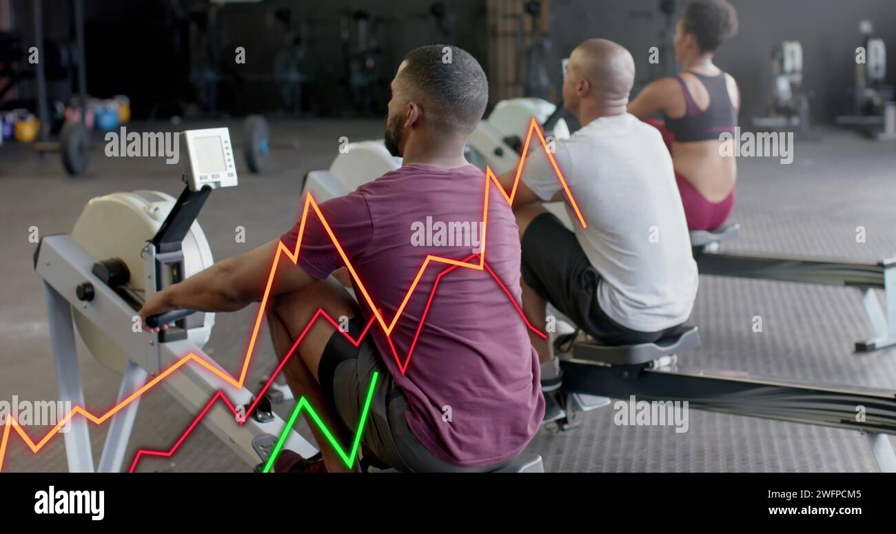 Image of graph processing data over diverse group training on rowing ...