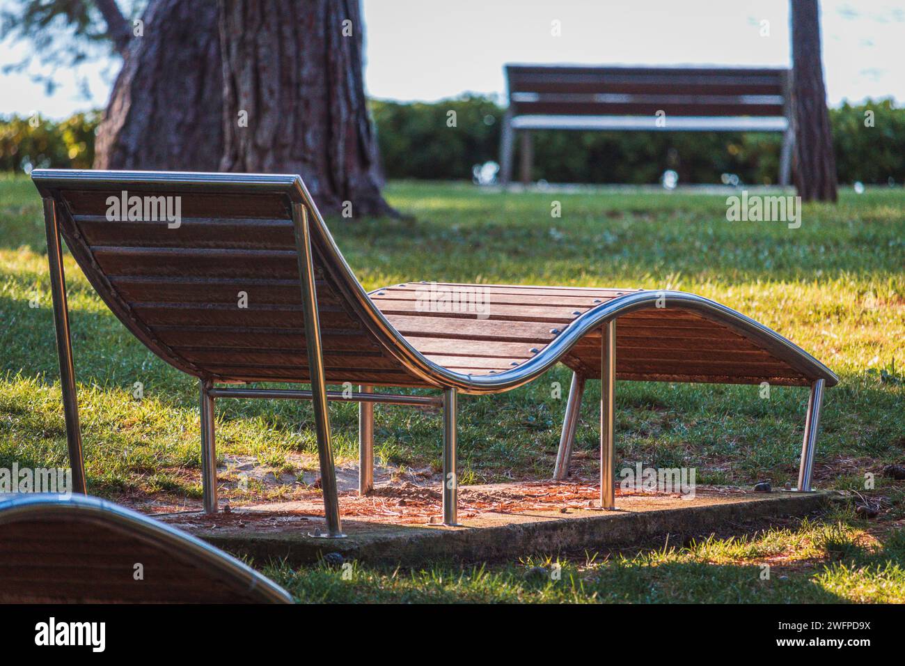 Empty sun loungers in park at sea Stock Photo - Alamy