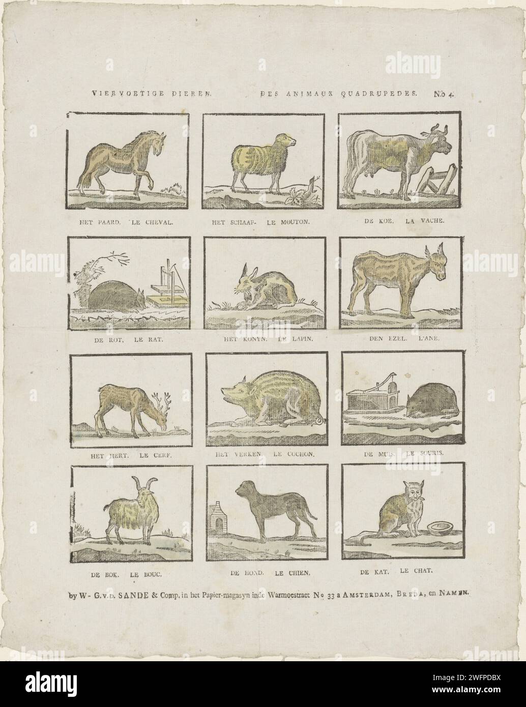 Four legged animals hi-res stock photography and images - Alamy