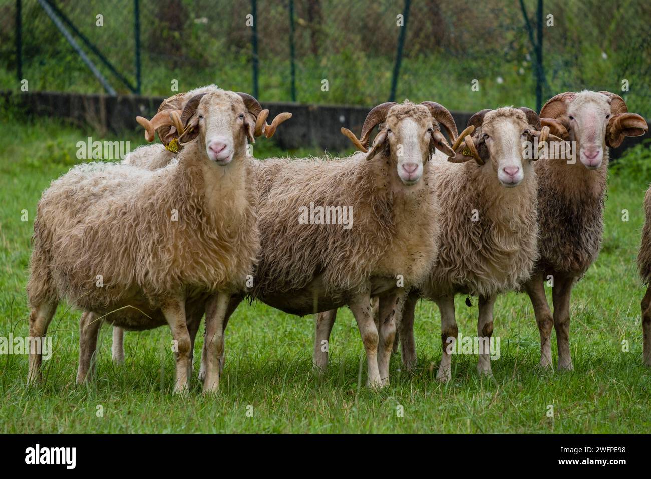 Departamento para hi-res stock photography and images - Alamy