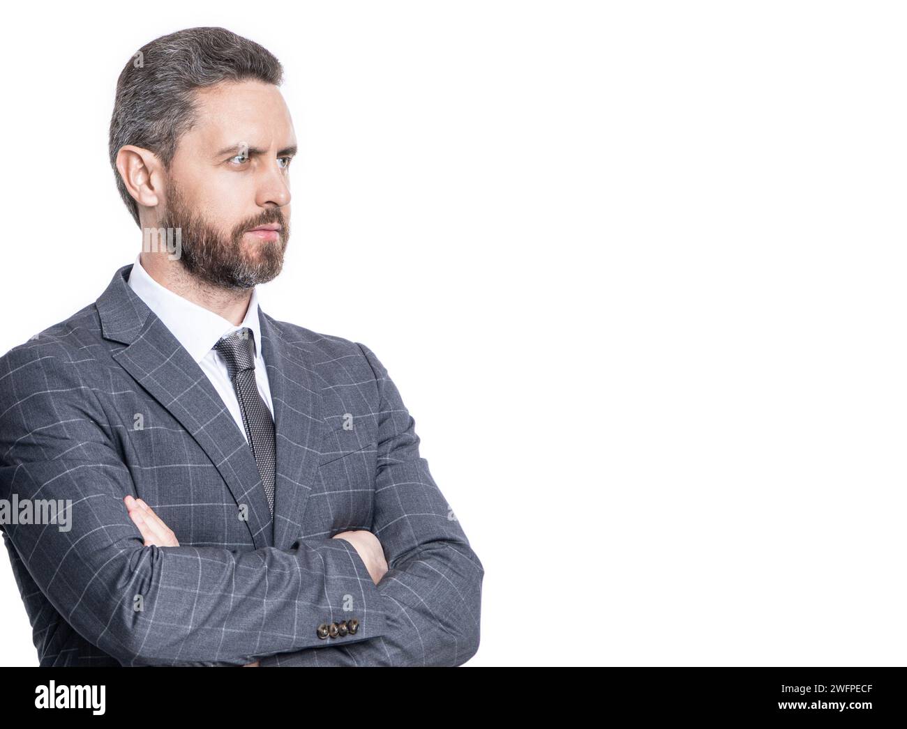 Hispanic businessman. Business boss portrait of business man ...