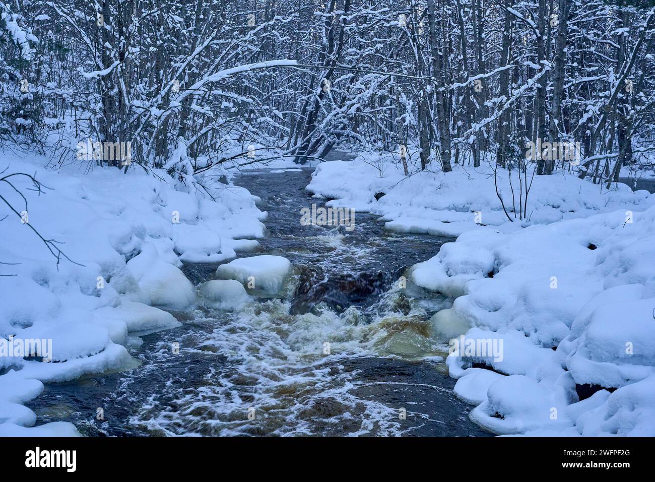 A serene stream flowing through snowy woods with snow-dusted branches ...