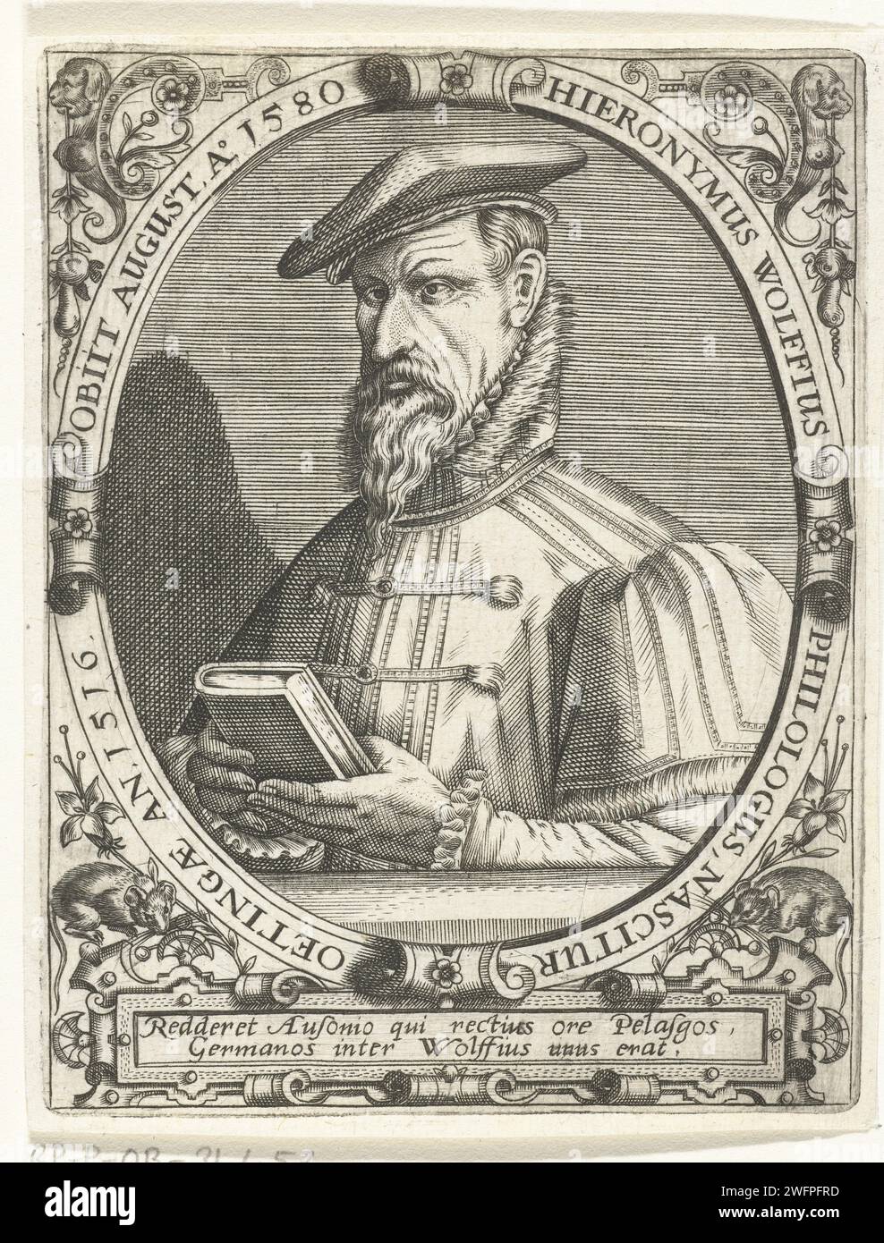 Librarian hieronymus wolf hi-res stock photography and images - Alamy