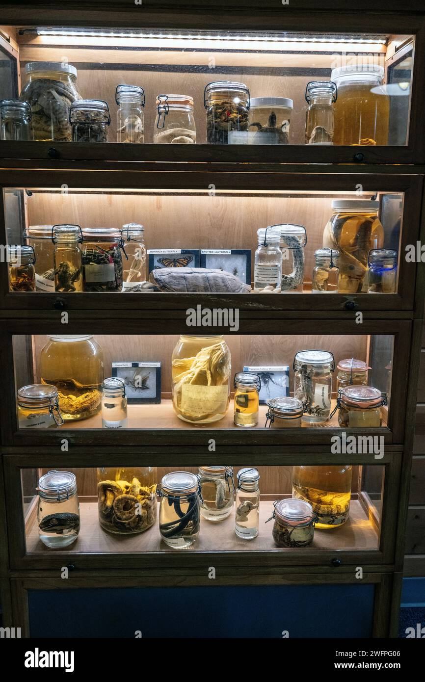 Fixed biological samples on display at Carnegie Science Center ...