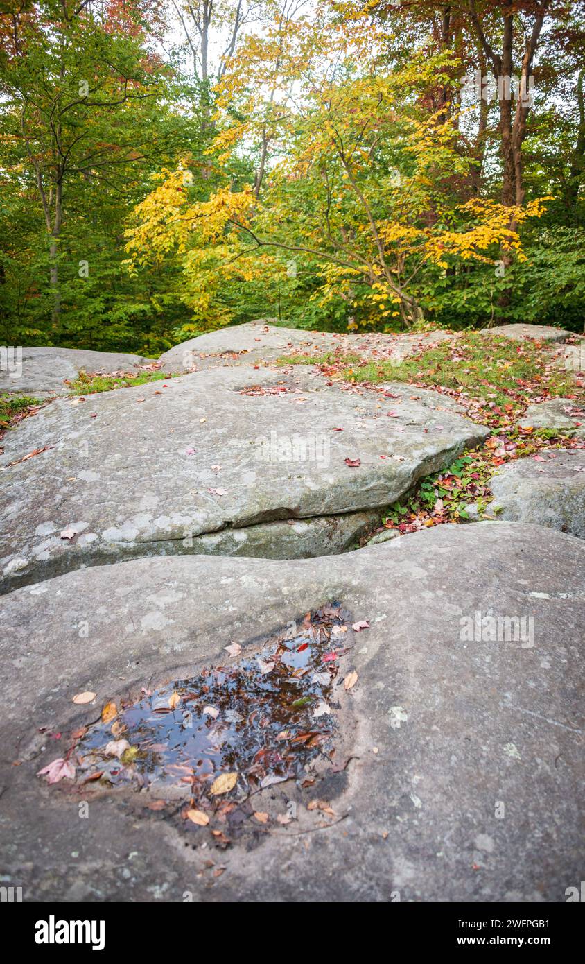 The "Rock Garden" at Worlds End State Park, State park in Pennsylvania ...