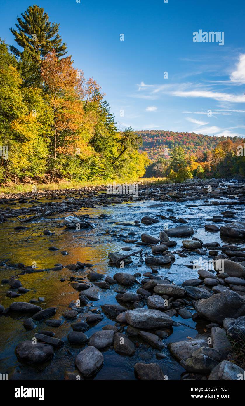 Worlds End State Park, State park in Pennsylvania, USA Stock Photo - Alamy