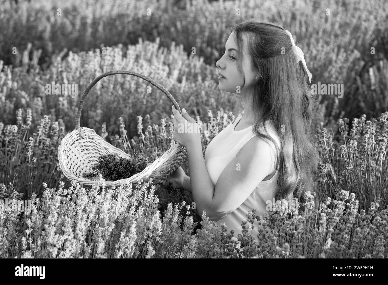 cute girl in lavender provence during summer holidays. Portrait of a ...
