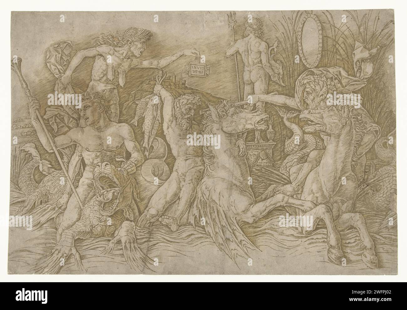 Fight between satyrs driving on hippocampuses and old woman as ...