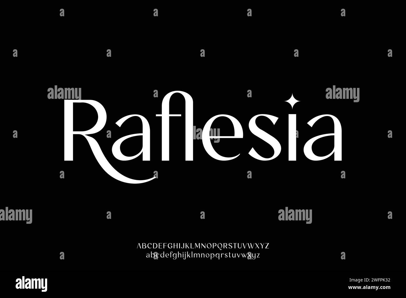 Elegant luxury sans serif alphabet display font vector. Beautiful ...