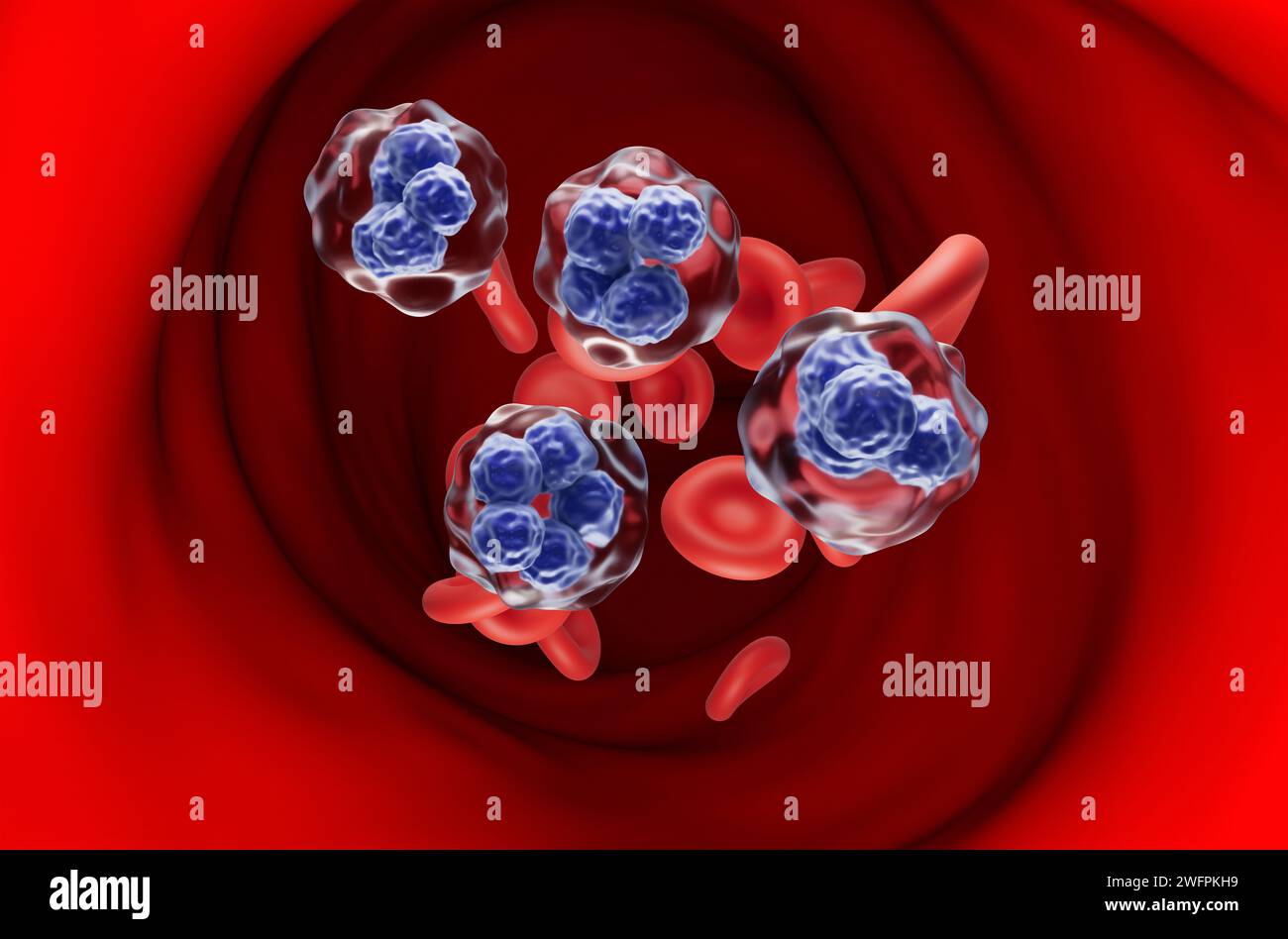 T-cell lymphoma cells in the blood flow - section view 3d illustration ...