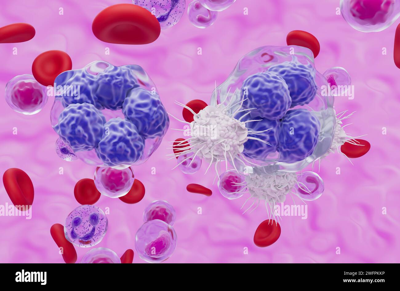 Dendritic cell recognize T-cell lymphoma cells - closeup view 3d ...