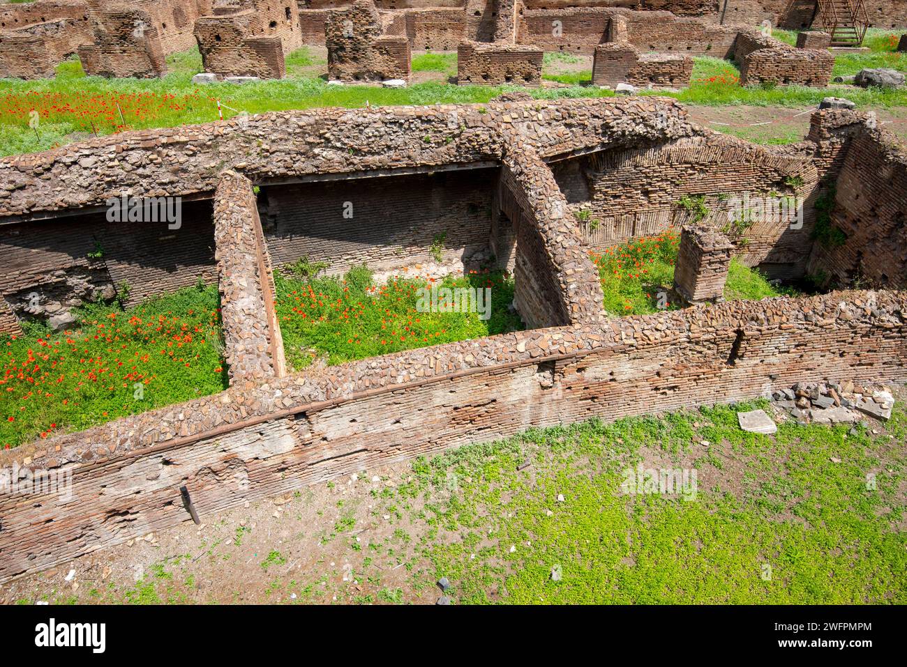 Ruins ludus magnus rome hi-res stock photography and images - Alamy