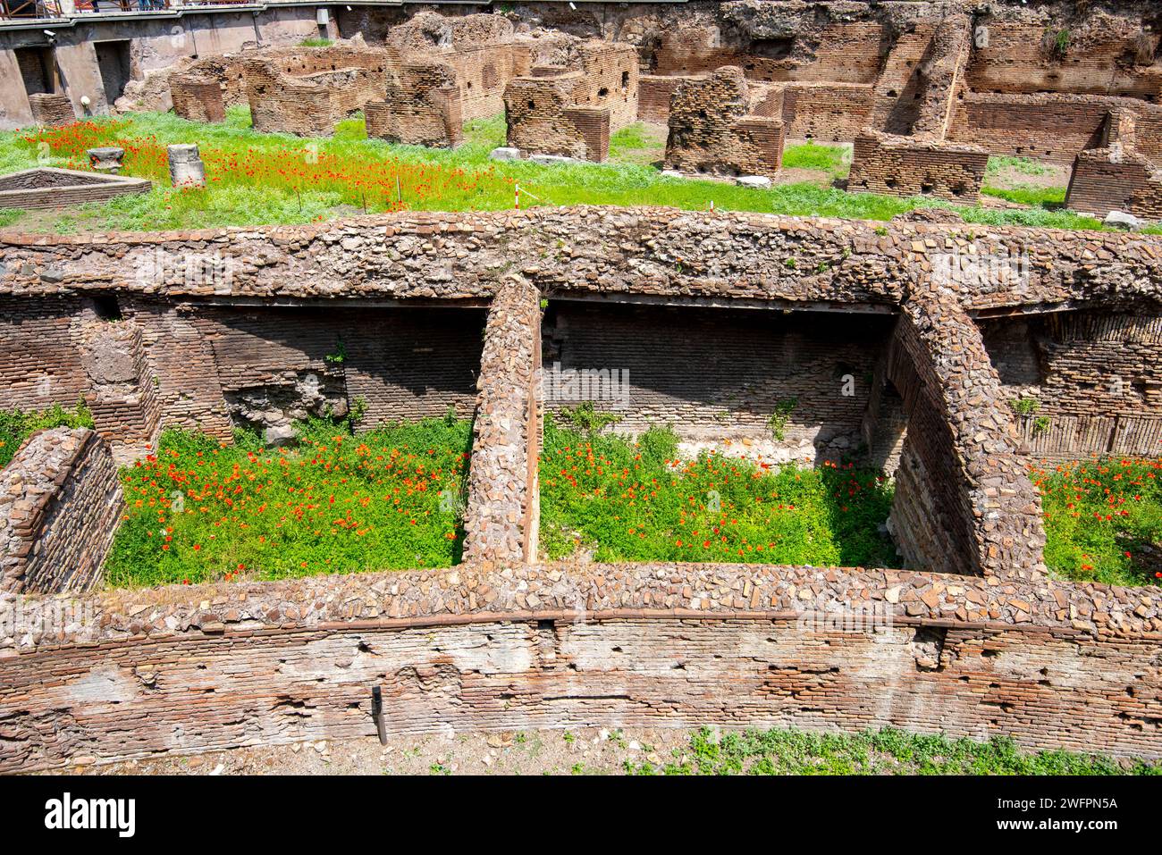 Ruins of Ludus Magnus - Rome - Italy Stock Photo - Alamy