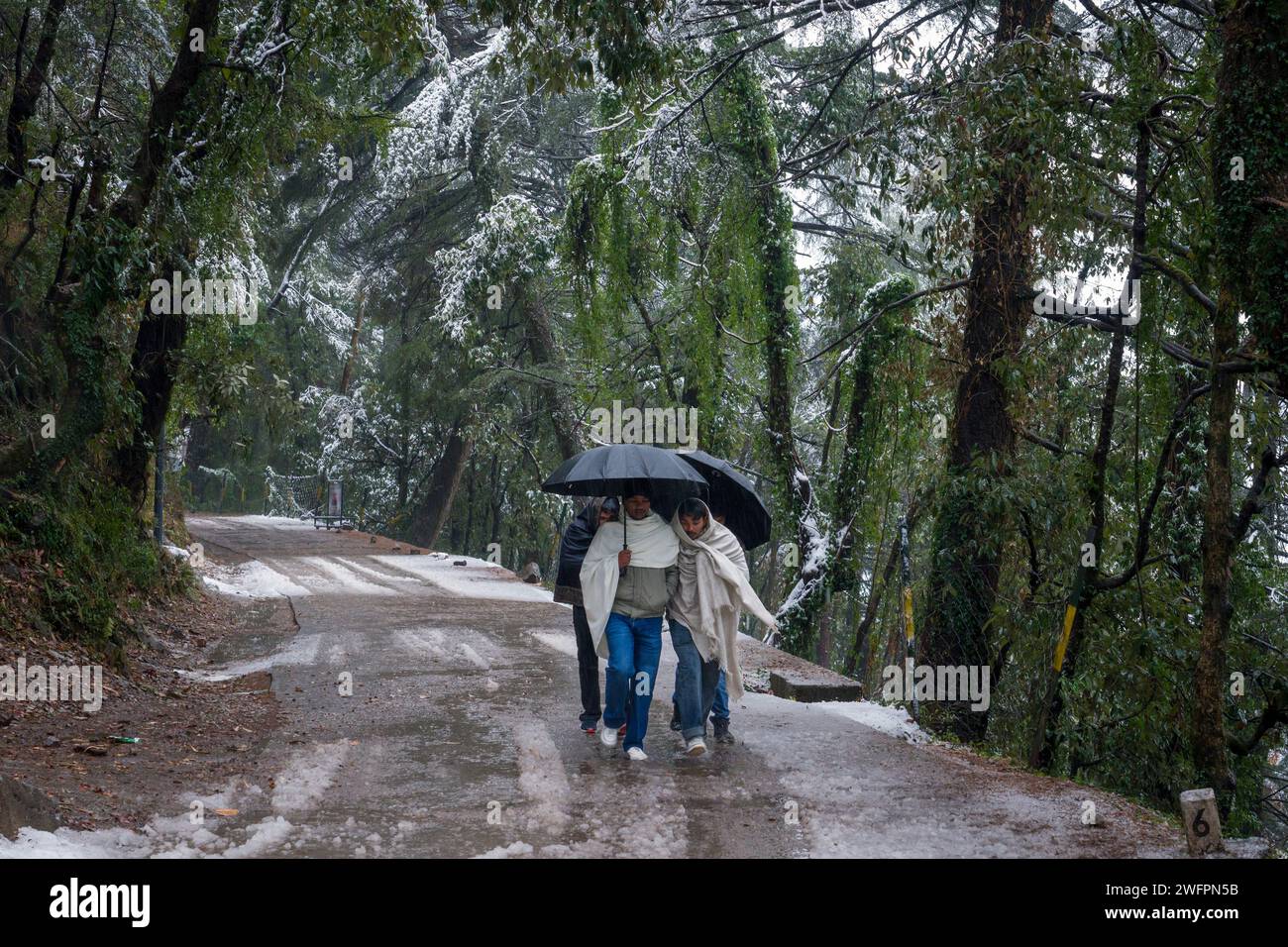People walk under the rain on a road sprinkled with fresh snow in ...